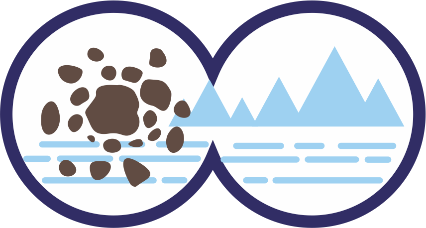 two_eys_developing - LVS Tek